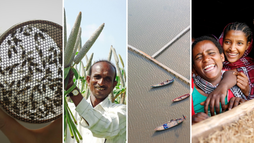 Impact Success Stories Booklet: The Global Impact of UK Research - UKCDR